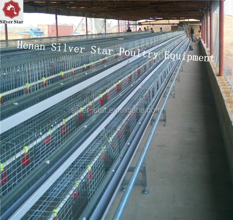 Automatic Pullet Baby Chicken Battery Brooder Cage For Day Old Layer ...
