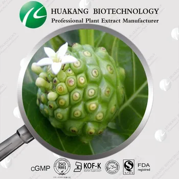 Noni Extract,Fruits Containing Vitamin D,Noni Leaf Tea/fruit Juice ...
