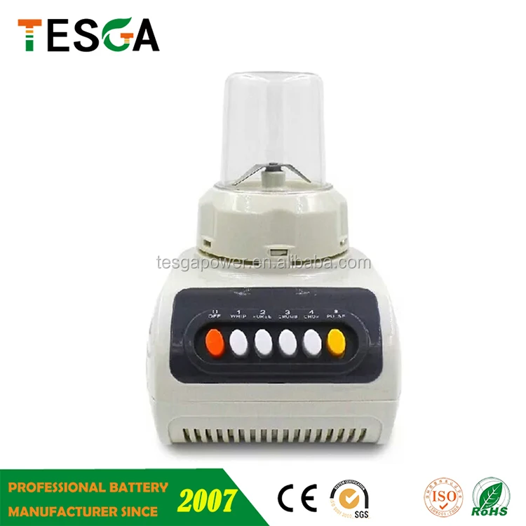 12V DC Electric Blender for Car, Truck, Solar – Efficient 200W Juicer ...