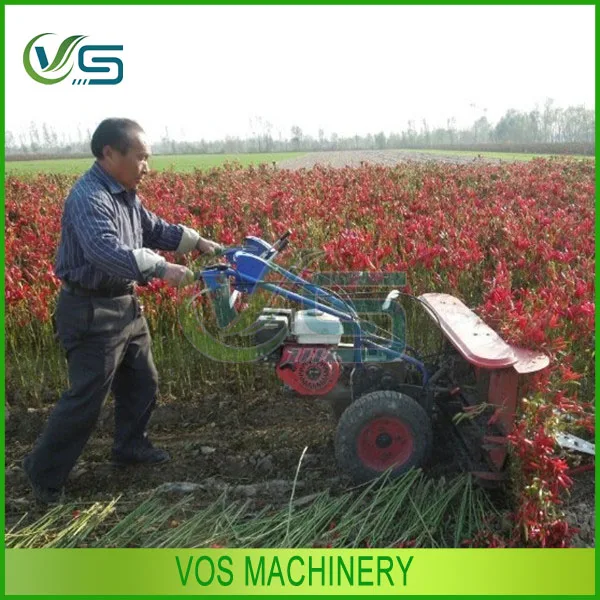 Dry Bean Harvesting Equipment