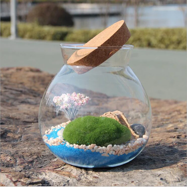 Round Glass Terrarium with Cork - Home Decor Kit