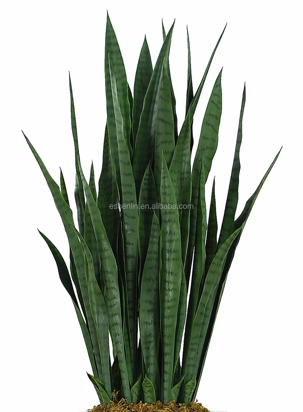 Indoor Mini Artificial Sansevieria Snake Plant Mother In Laws Tongue ...
