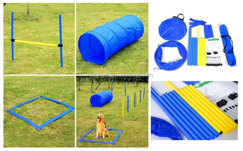 Obstacle Backyard Competitive Dog Agility Training Course Kit Blue ...
