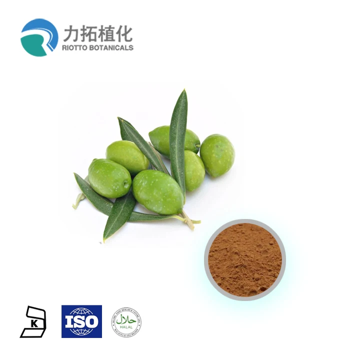 Olive Leaf Oleuropein 10-70% Hplc,Antibacterial Plant Extract With ...