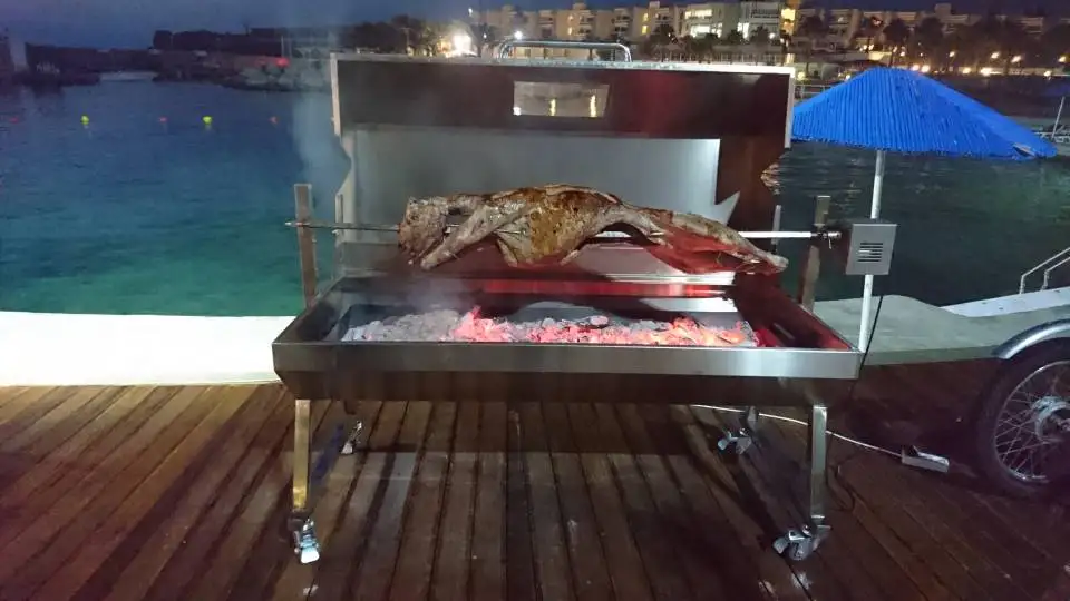 Auto Spit Charcoal Vertical Rotisserie BBQ Equipment