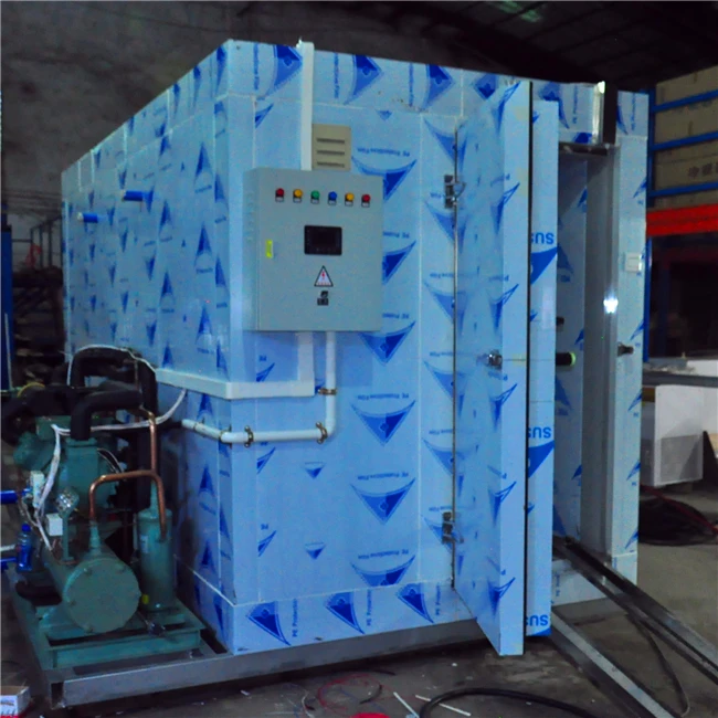 IQF Blast Freezer 8 Trolley Tunnel Type - Quick Freezing