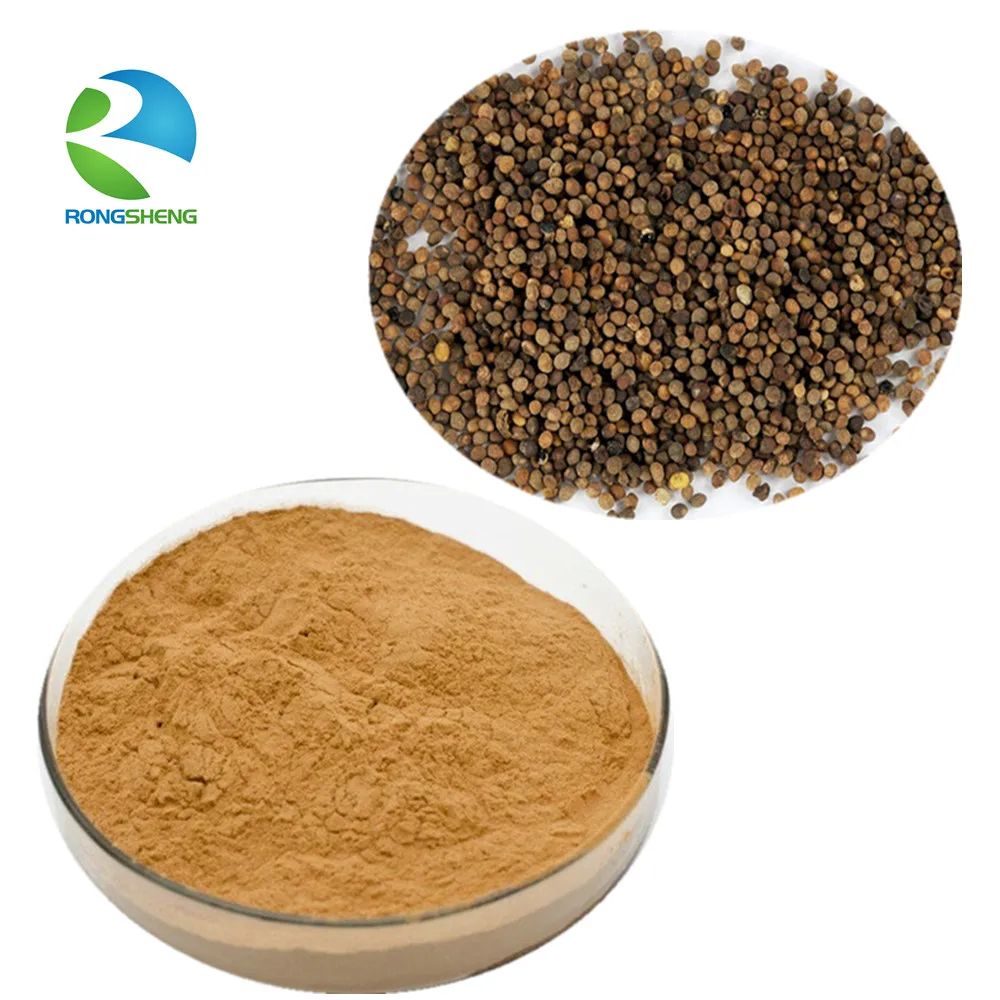 High Quality Organic Chinese Dodder Seed Extract - Buy Dodder Seed ...