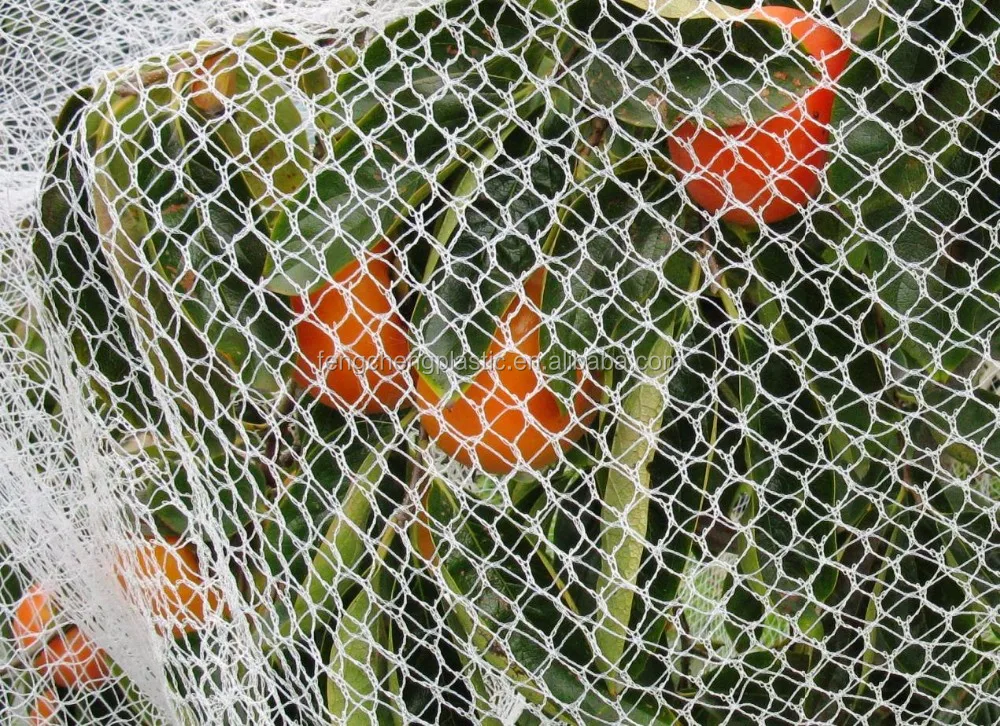 Nylon Bird Screen Mesh - Protect Bessenstruiken from Vogels