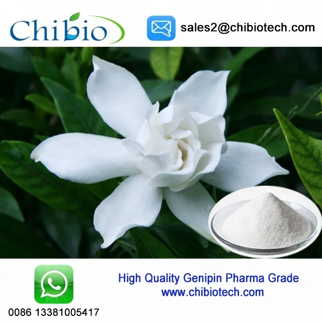 Factory Supply High Quality Pure Genipin 98% Powder Pharma Grade - Buy ...