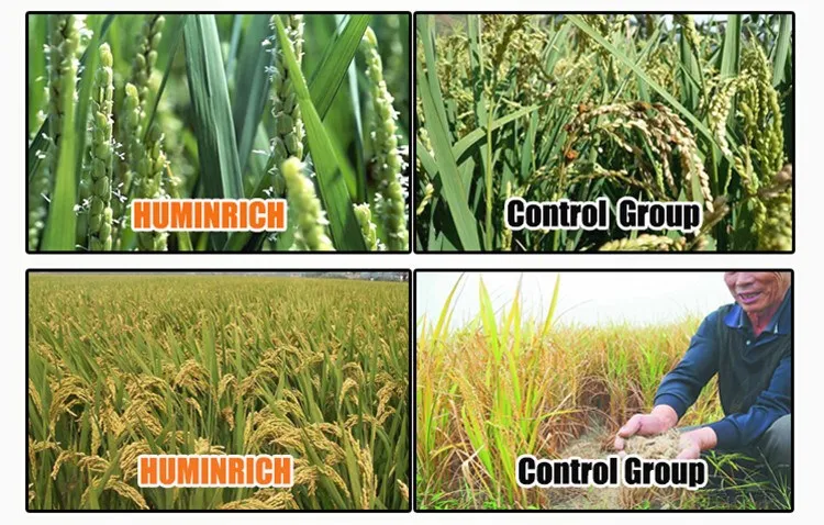 "huminrich" Shenyang Water Soluble Best Fertilizer For Plants Shilajit ...