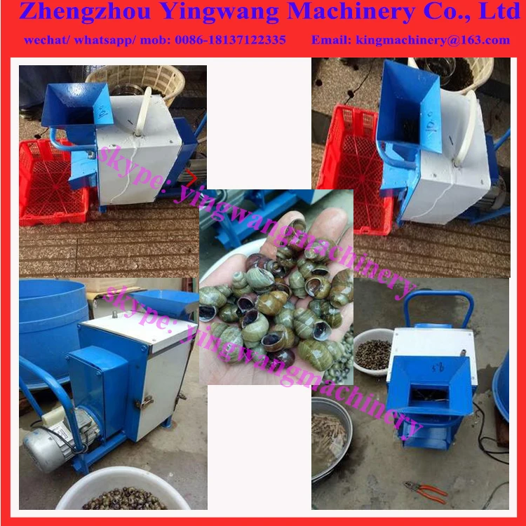 Field River Snail Tail Cutting Machine / Escargots Viviparus Winkles ...