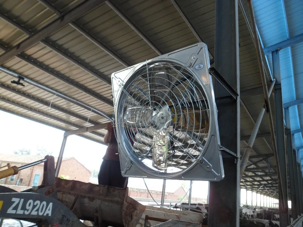 Dairy Cattle Fan/hanging Exhaust Fan/cow House Fan - Buy Diary Cow ...