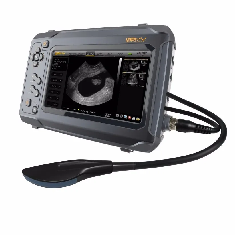 Bestscan S6 Handheld Ultrasound Machine For Cow/bovine/equine/mare ...