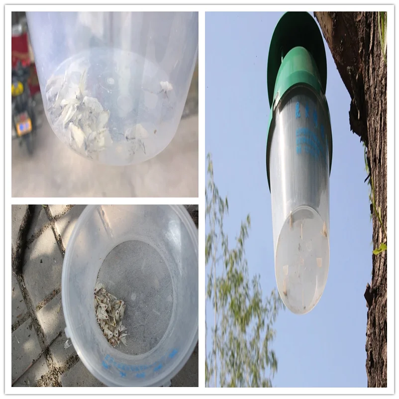 Bucket Funnel Traps - Effective Insect Control Solutions