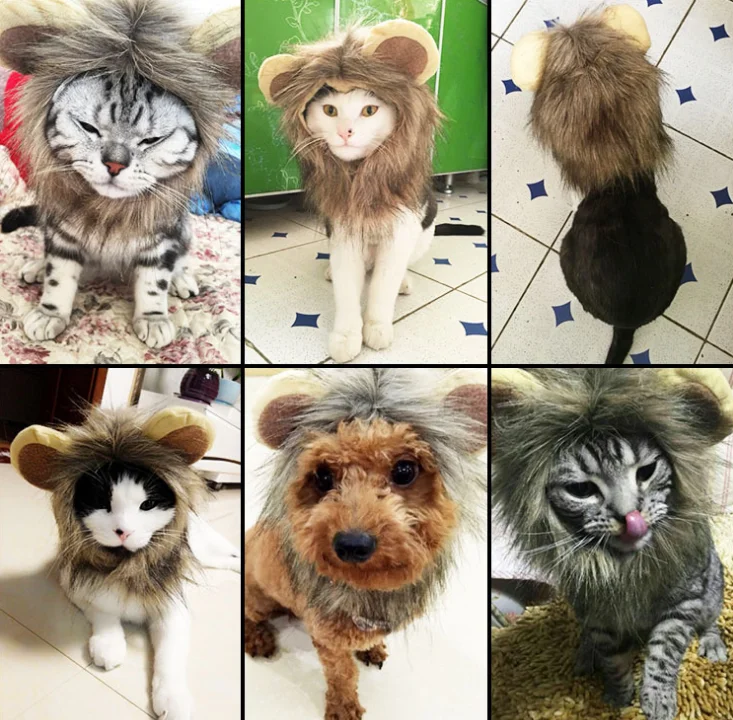 Pet Cat Wig Funny Cat Hair Wig Cat Cosplay Cute Headgear Pet Dog Hair ...