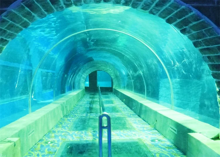 Customized Acrylic Aquarium Tunnel - Durable & Sustainable
