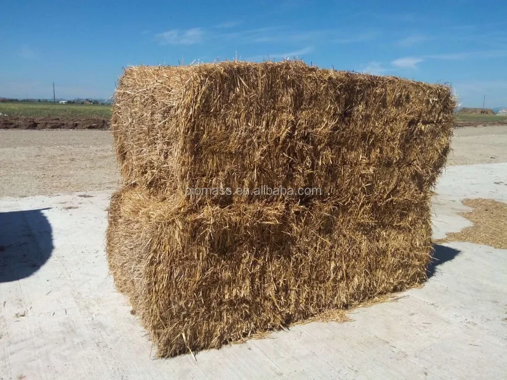 Fertilizer Fermentation Used Big Feeder Corn Straw Bale Crusher - Buy ...