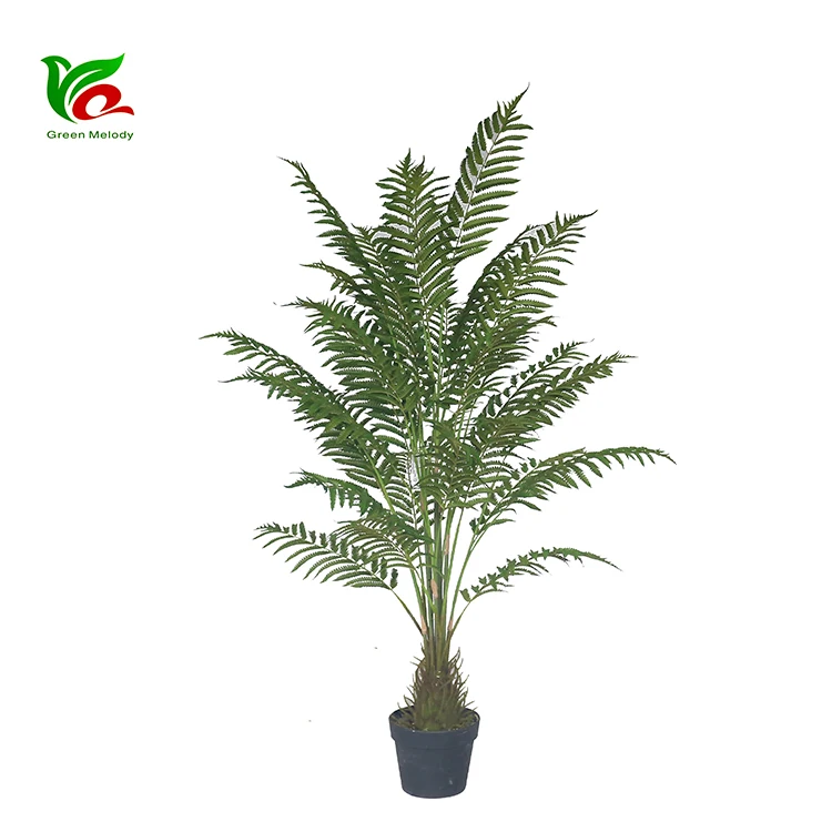 Natural-design 2.0m Indoor Decoration Artificial Tree Fern - Buy ...