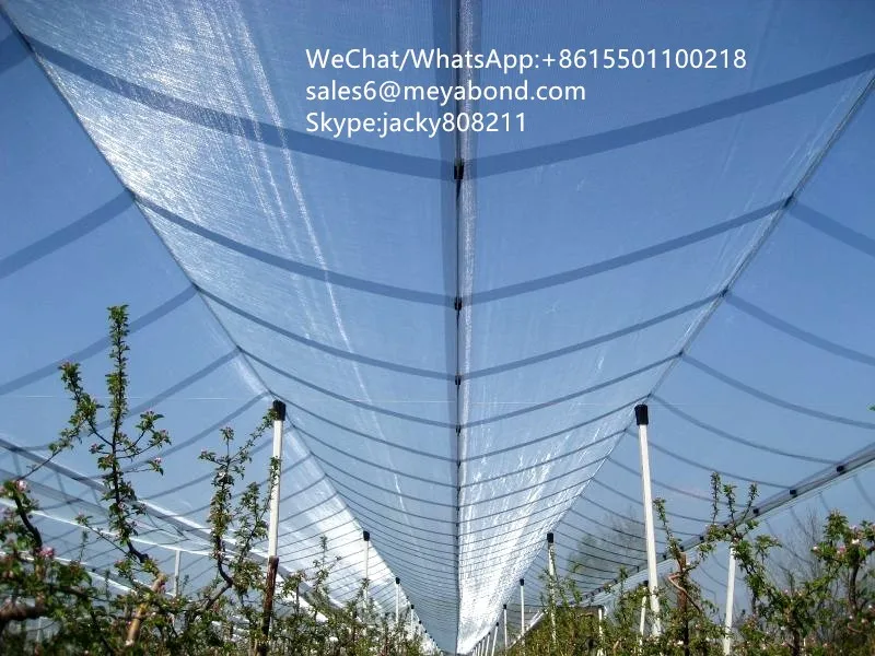Anti Insect Netting /nursery Fruit Tree Net/citrus Tree Net Cover - Buy ...