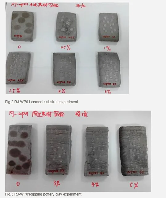 Potassium Methyl Siliconate For Concrete Waterproofing (rj-wp01) - Buy ...