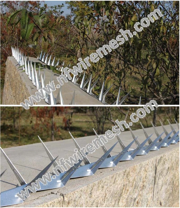 Security Wall Razor Spikes - Deter Unauthorized Climbs