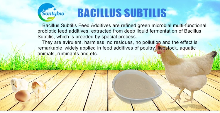 Probiotic Bacillus Subtilis For Agriculture - Buy Iso Bacillus Subtilis ...