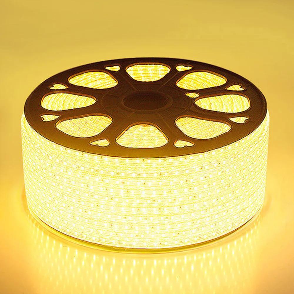 Ip67 100 Feet 220v Dimmable Led Strip Lights - Buy Strip Light 220v ...