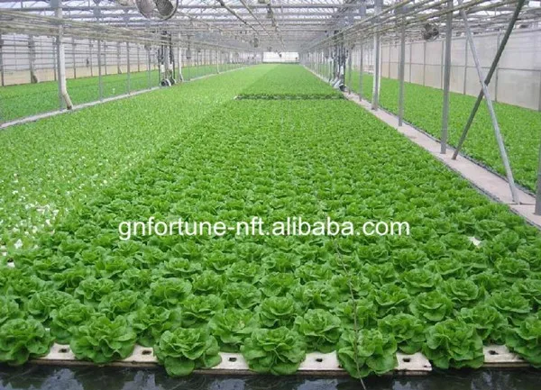 Tubos De Pvc Para Verduras De Grado Alimenticio,Para Plantación ...