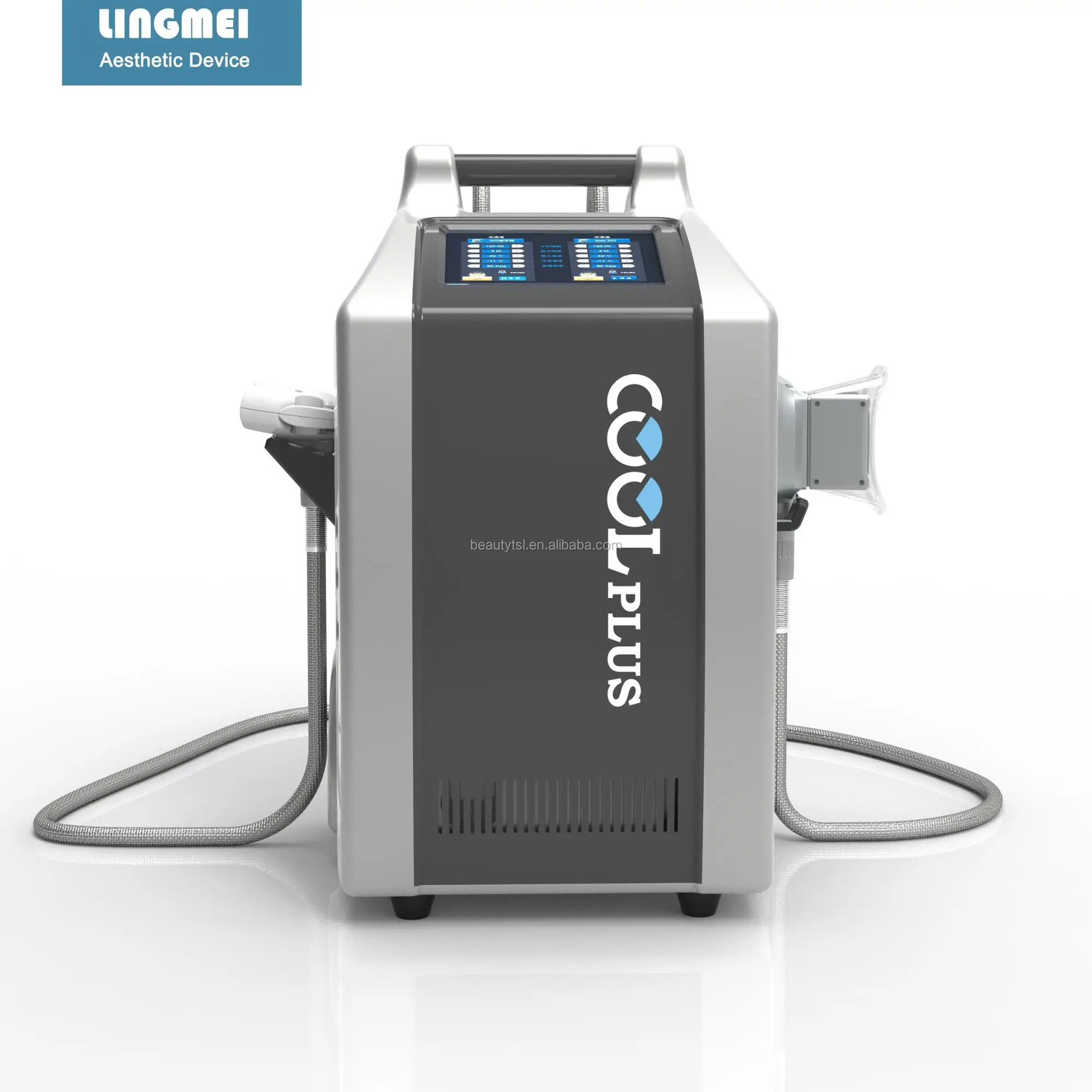 Etg80 Korea Kryolipolyse Top Selling Fat Freezing Cooltech ...