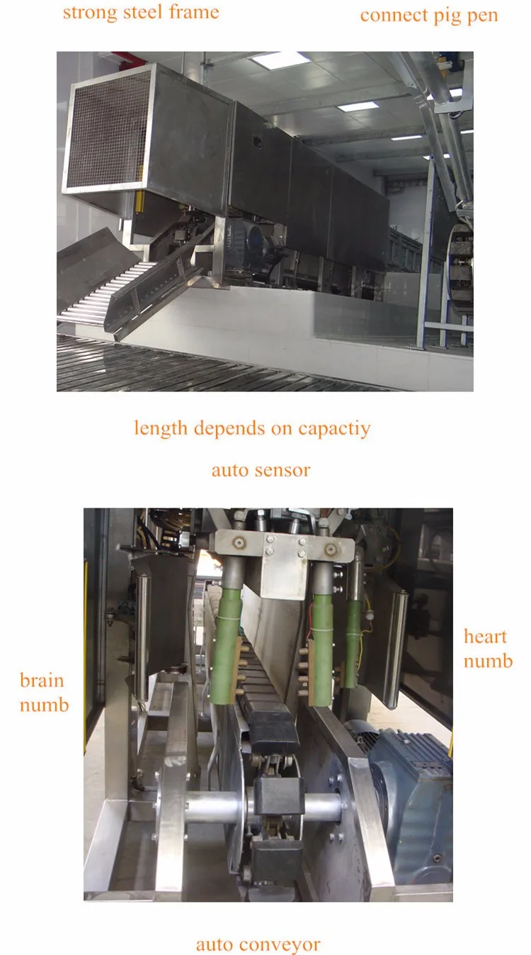 Manual Pig Electric Stunner - High Efficiency Abattoir Equipment