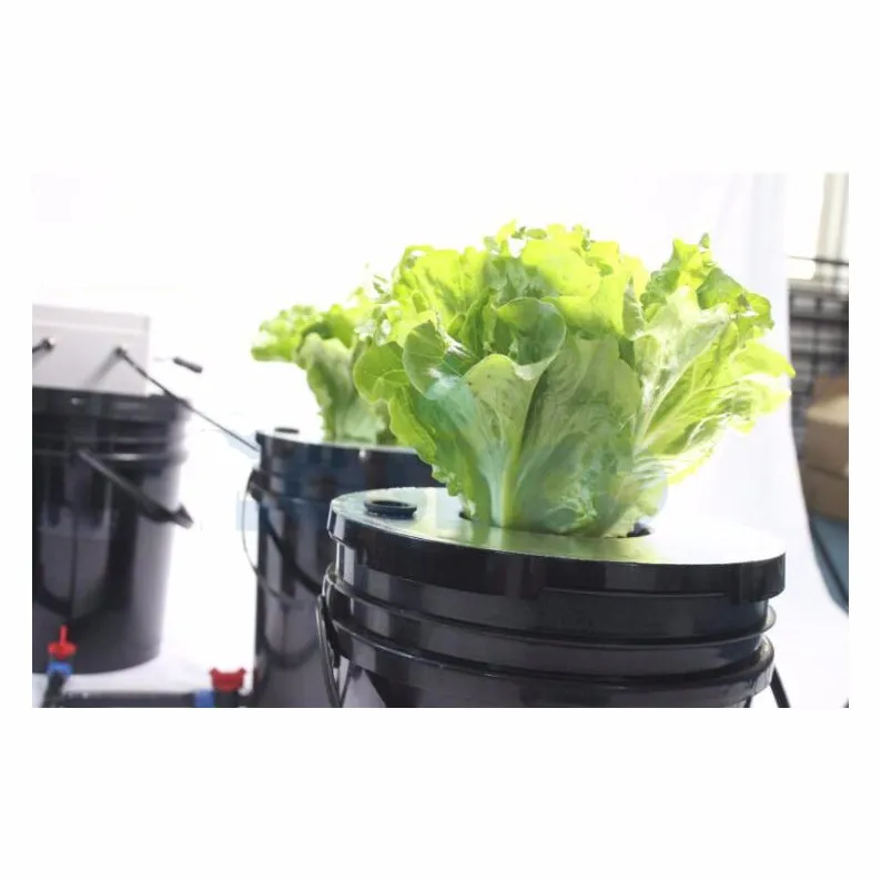 Automatic Hydroponic Growing System Automated Auto Pot - Buy Automatic ...