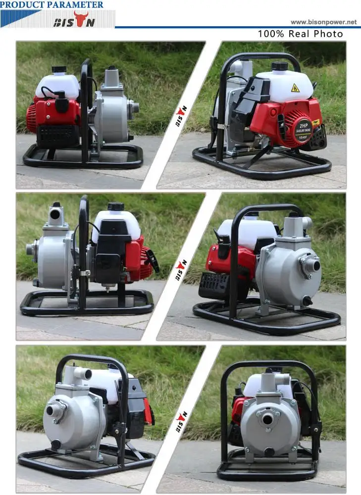 Bison(china) Water Pump 1 Hp 1.5hp 10 Cubic Meter Per Hour 1inch 1 ...