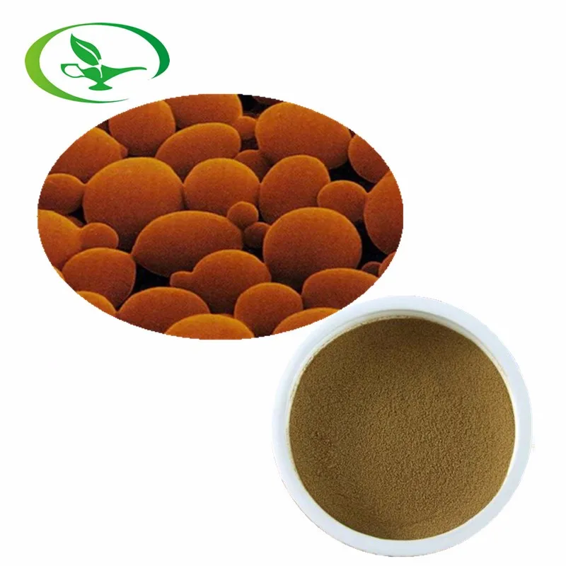 Wholesale Bulk Food Grade Brewers Yeast Extract Powder With Best Price ...