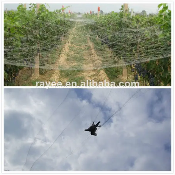 Agricultural Material Virgin Bird Mist Net for Bats Red Niebla| Alibaba.com