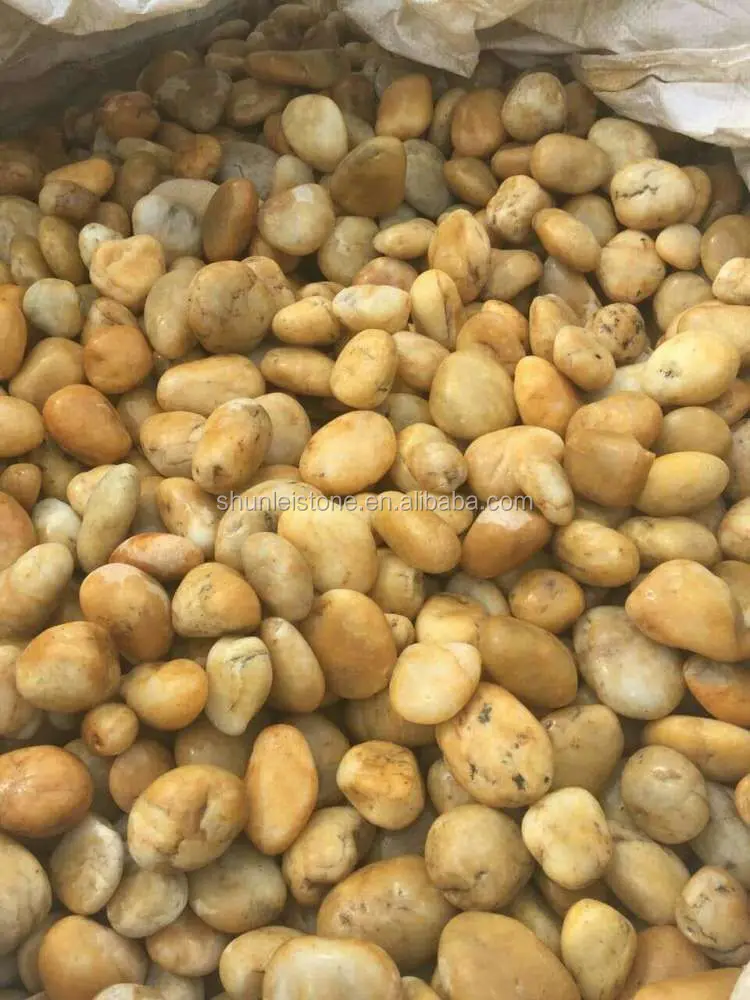 Landscaping Polished Yellow Pebble Stone - Durable & Stylish