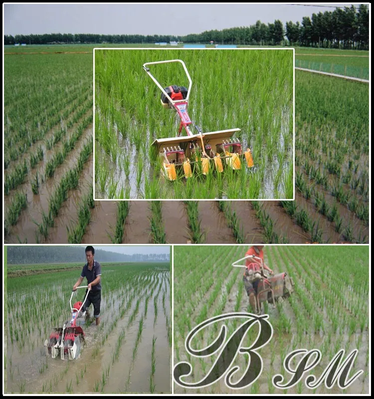 Farm Machine Equipment The Rice Paddy Cultivator Weeder - Buy Paddy ...