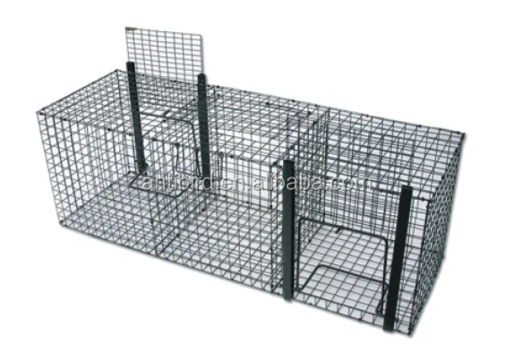 Unique Technical Multi Catch Bird Cage /foldable Pigeon Trap Cage ...