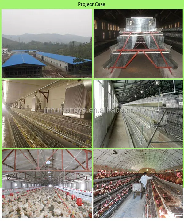 Chicken Manure Removal System Automatic Chicken Farm Scraper Manure ...