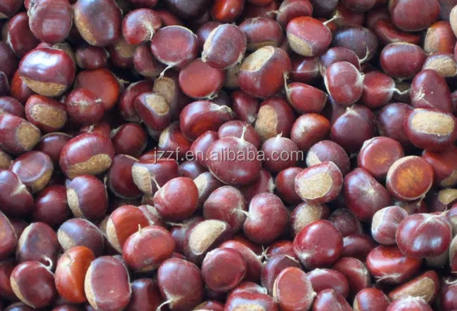 Efficient Chestnut Peeling Machine - ZFTOPA Quality