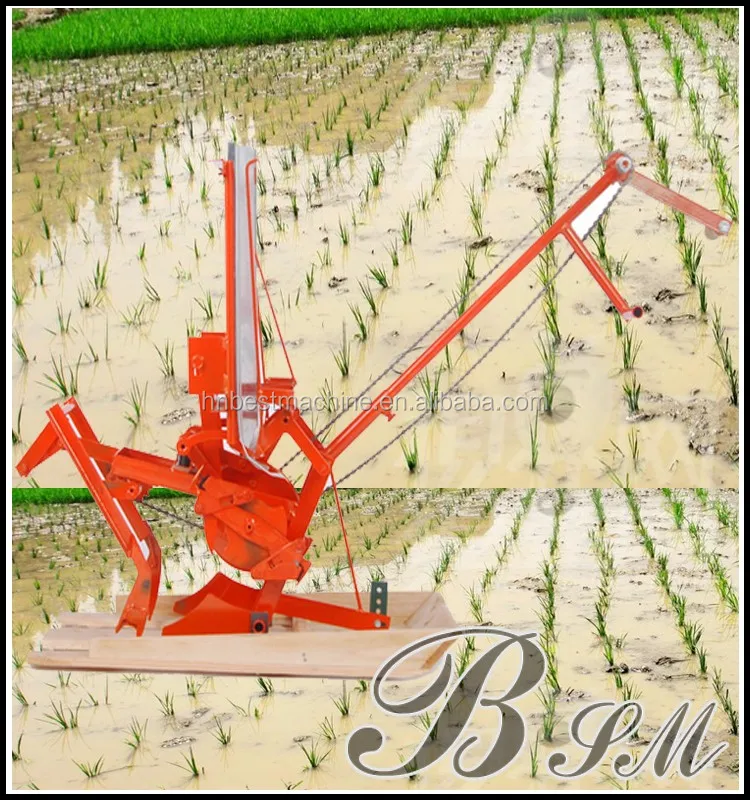 2 Rangées Main Transplanteur De Riz/planteur De Riz/paddy Plantation ...