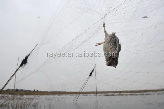 Bird Net Nylon Vogel Mist Net For Catching Birds - Buy Bird Nets For ...