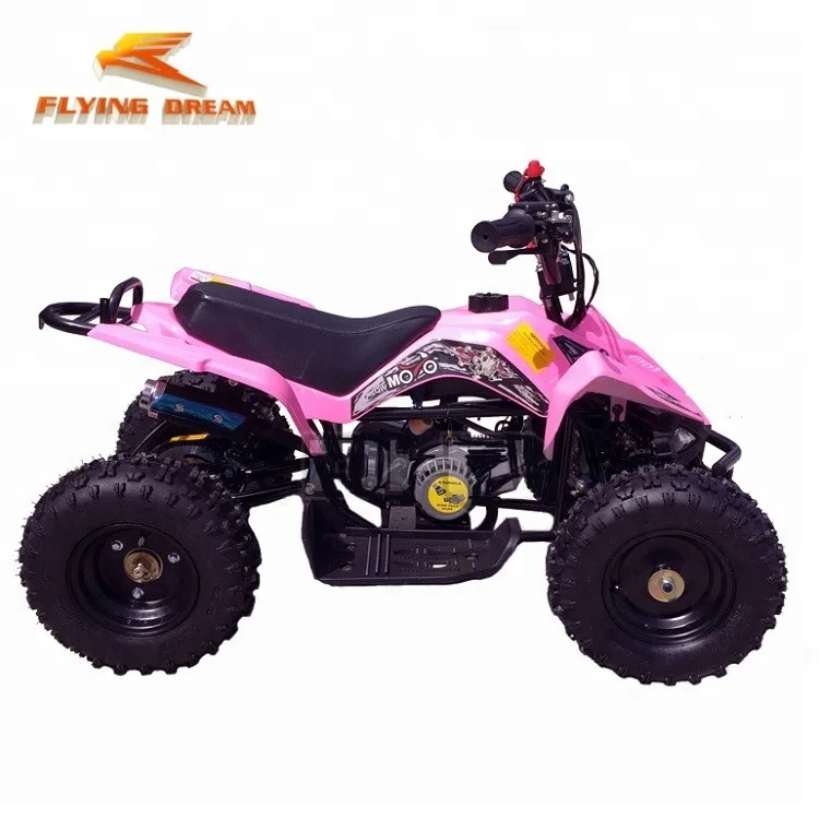 4 Wheeler 2 Stroke Mini Quad ATV 49cc 50cc 110cc 125cc for Kids