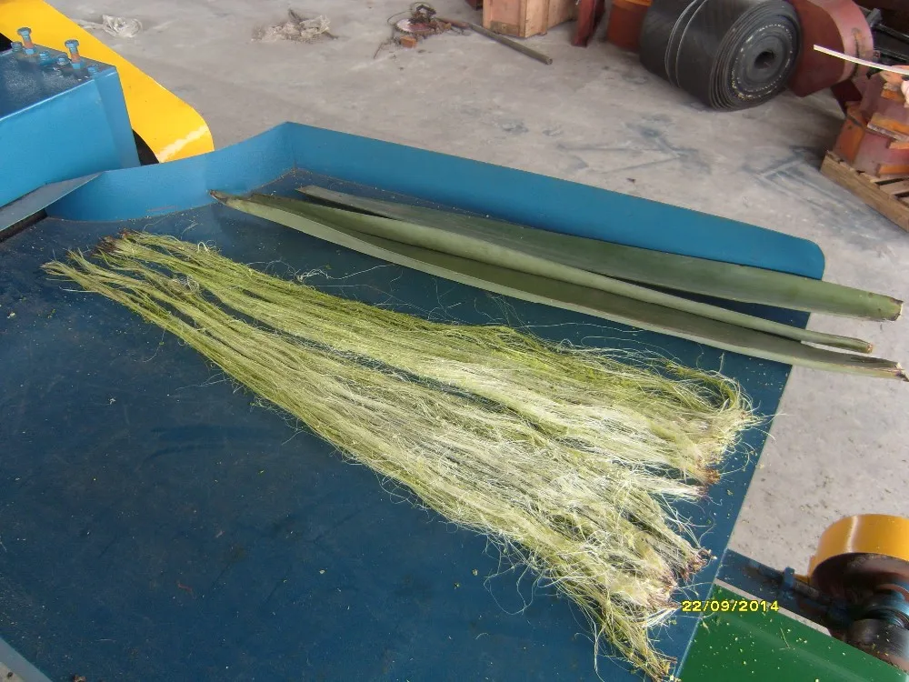 Hemp Sisal Decorticator Machine Hemp Fibre Extractor Factory Outlet ...