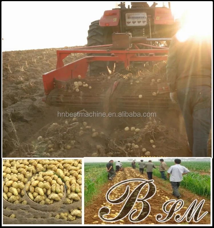 Nigeria Low Price Cassava Harvester / Tractor Driven Tuber Crops ...