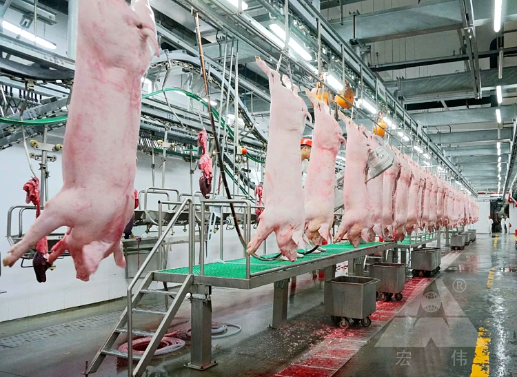 Porco De Saco De Suíno Equipamento De Convexo Plana Para Bloodlette - Buy Equipamento De ...