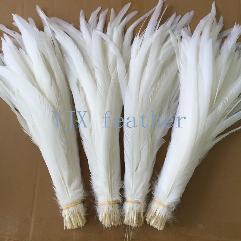 40-45cm Cheap Snow White Grizzly Rooster Tail Feathers For Carnival ...