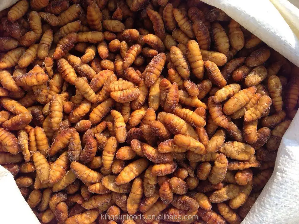 Human Food Silkworm Chrysalis - Buy Silkworm,Human Food Silkworm ...