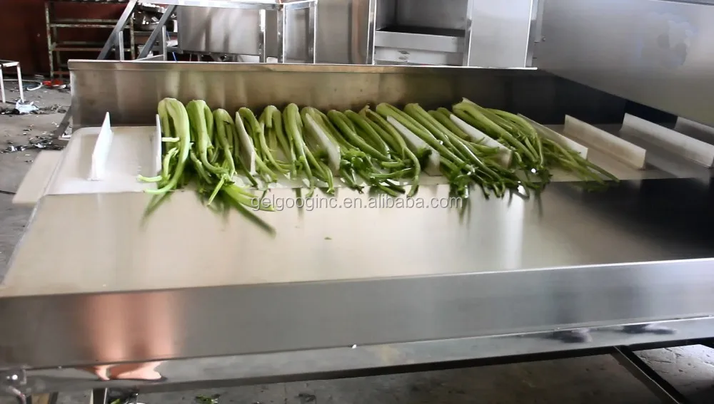 Commercial Leaf Vegetable Root Cutter/green Onion Root Cutting Machine ...