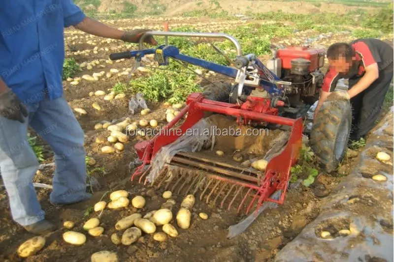 Hot Selling Small Potato Digger - Buy Small Potato Digger,Used Mini ...