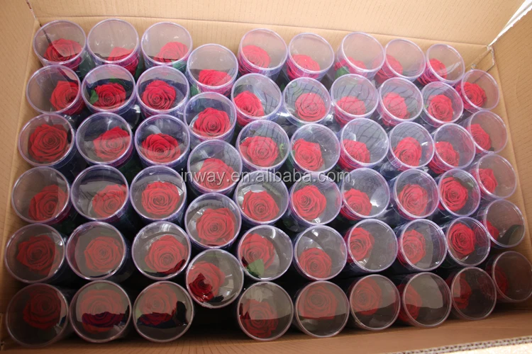 Wholesale Real Stabilized Roses Flower Preserved Rose With Stem - Buy ...
